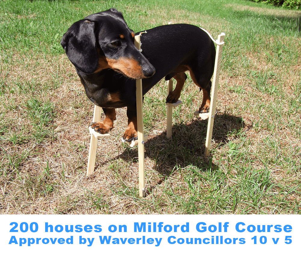 Last night Waverley Planners gave developers the go-ahead to build ...