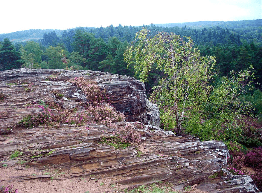 Appeal allowed for three luxury homes bordering the Devil Jumps Special ...
