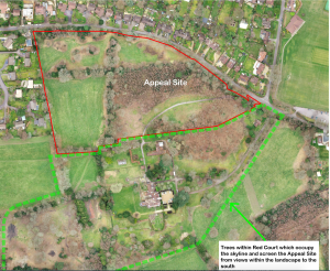 Day 3.Red Court, Haslemere. More about trees and an infestation of ...