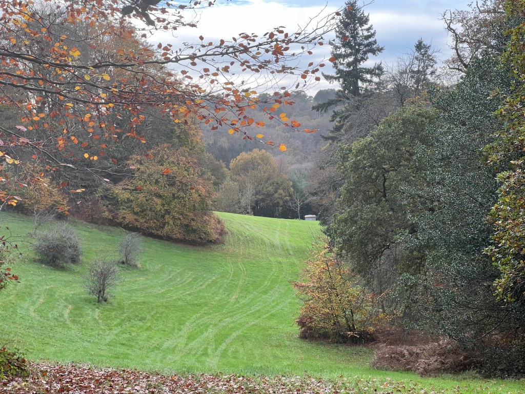 LanduUp for grabs once more in Haslemere. - Waverley Web